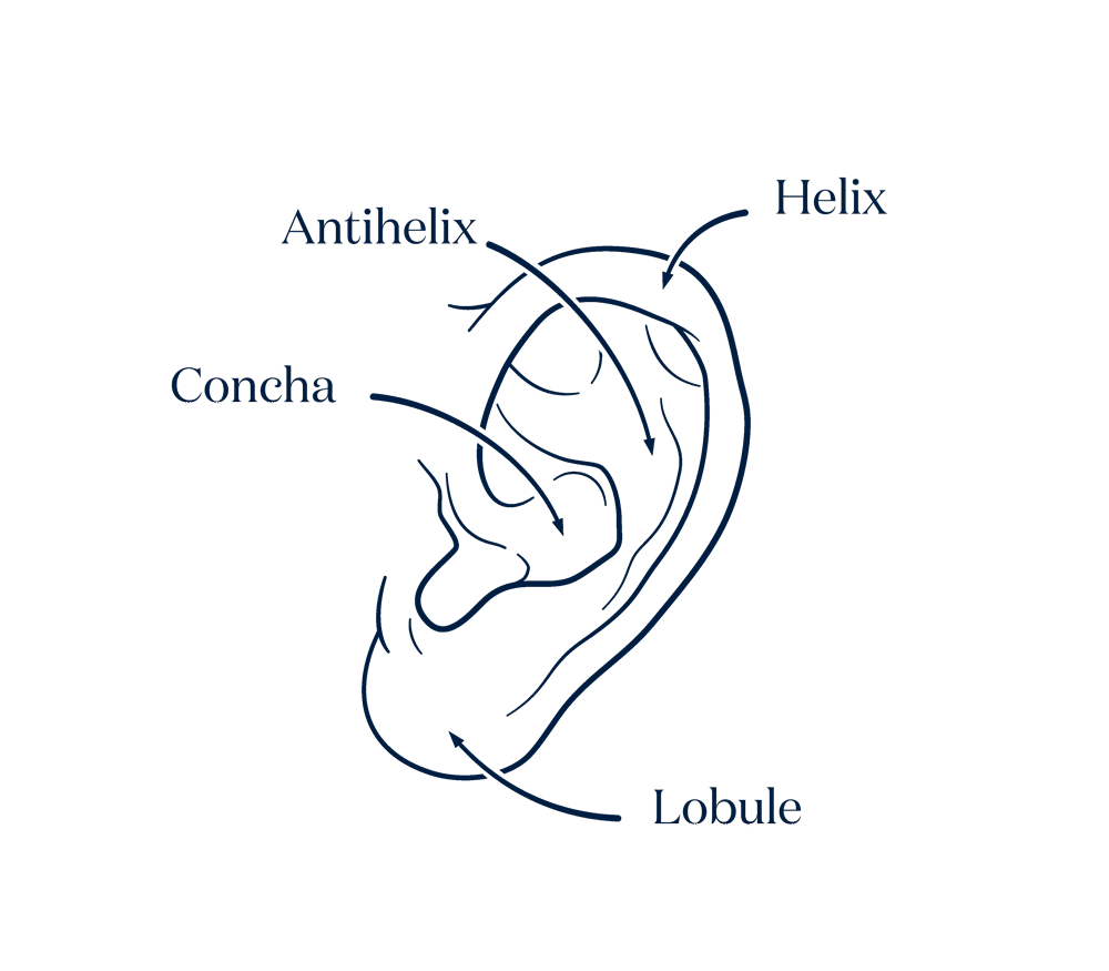 Ear Surgery (Otoplasty) · Dr. Schneider · Fort Myers, Naples, Cape Coral